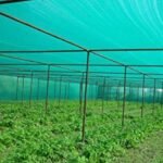 Shade Nets – Arjun Agri Shade Nets – Durable & UV Protected Solutions